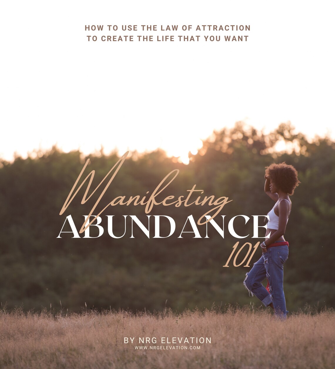 Manifesting Abundance 101 - Law of Attraction How to Guide - Etsy