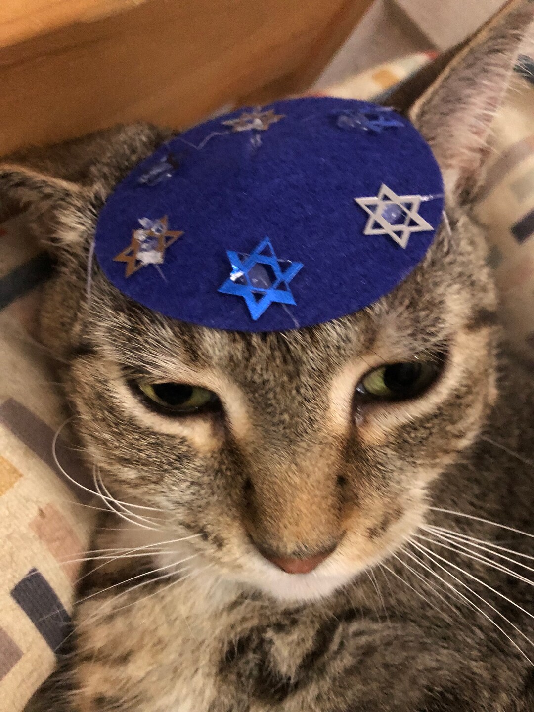 Yarmulke for Small Animals - Etsy