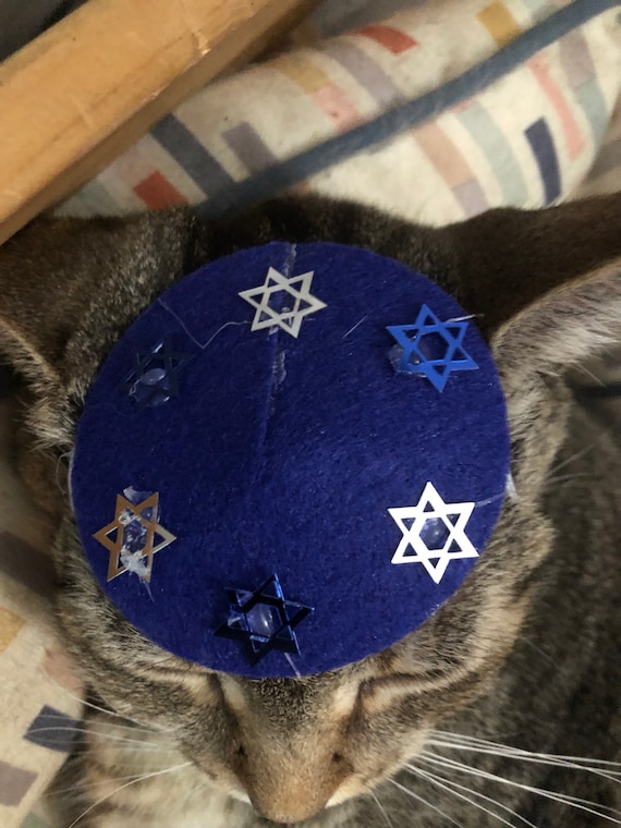 Yarmulke Cat