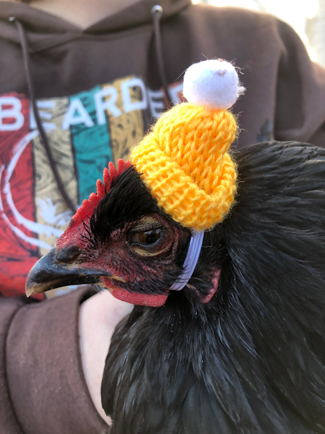 Knit hat for chickens | Etsy