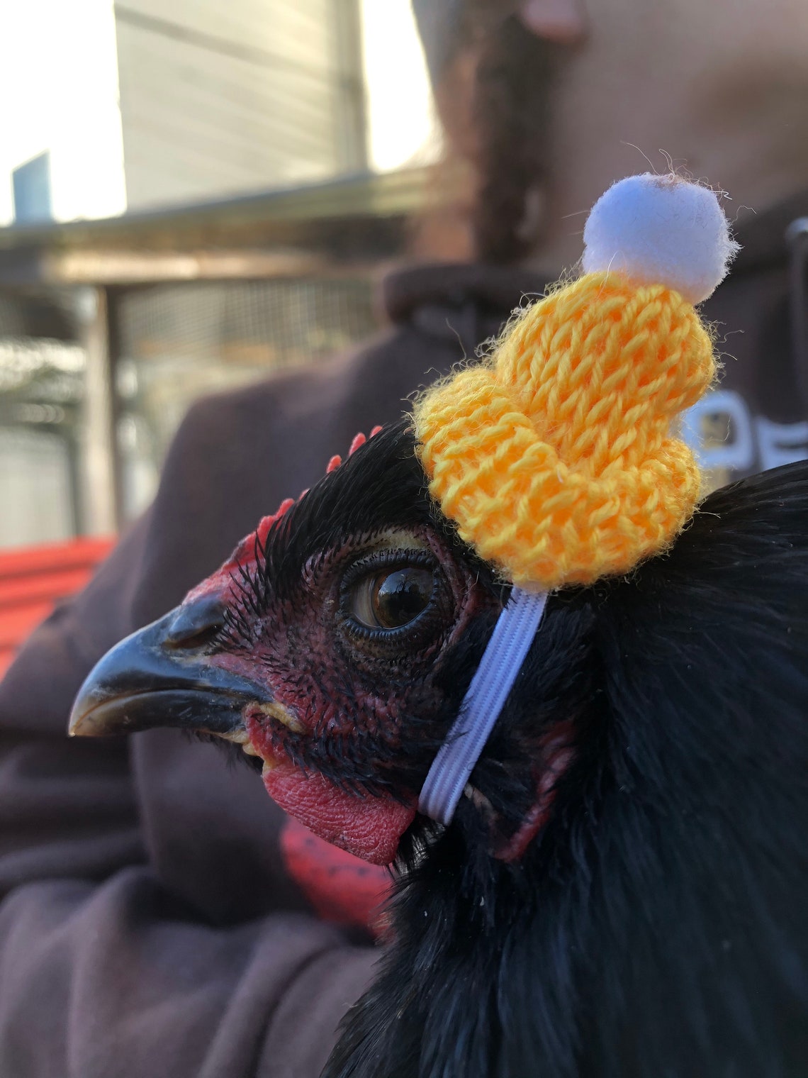 Knit hat for chickens | Etsy