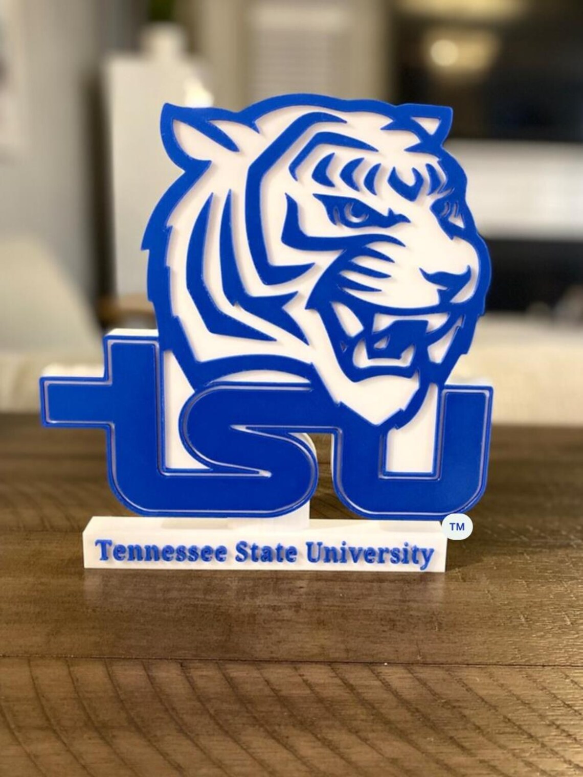 Tennessee State University 3D Desk Sign - Etsy