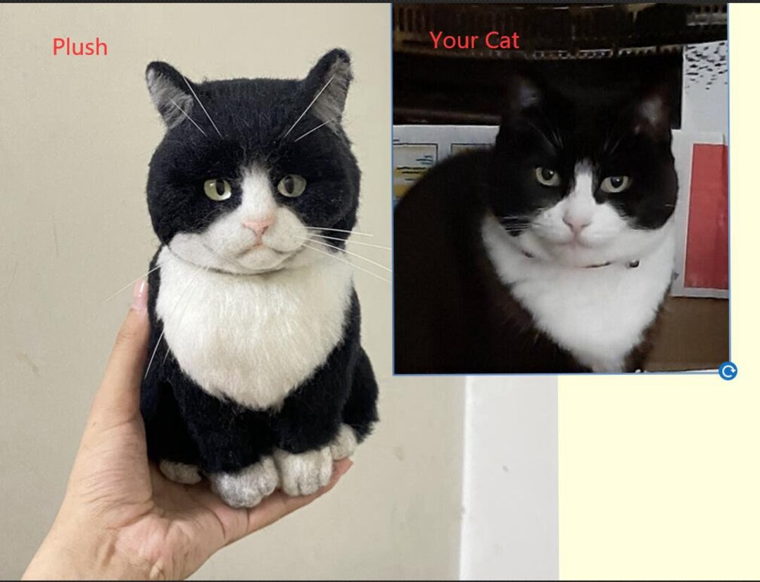 Cat Loss Memorial, Custom Stuffed Pet of Your Dog Cat,stuffed Animal of ...