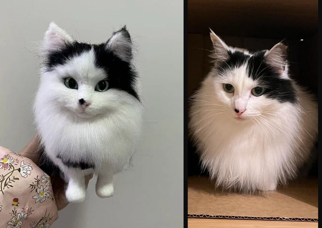 Custom Pet Plush Clone: Dog Cat Memorial, Realistic Stuffed Animal - Etsy