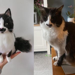 Pet Loss Memorial, Custom Stuffed Pet of Your Dog Cat, Pet Loss Gift ...