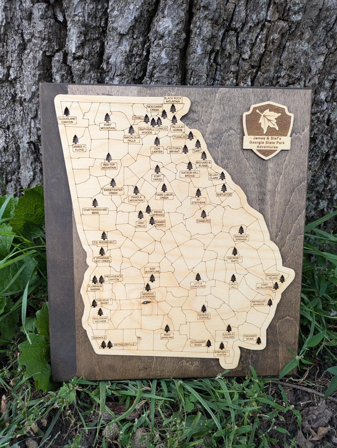 Customizable Georgia State Park Tracking Map - Etsy