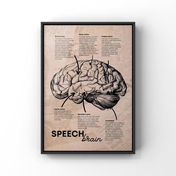Brain Poster for Office - Etsy