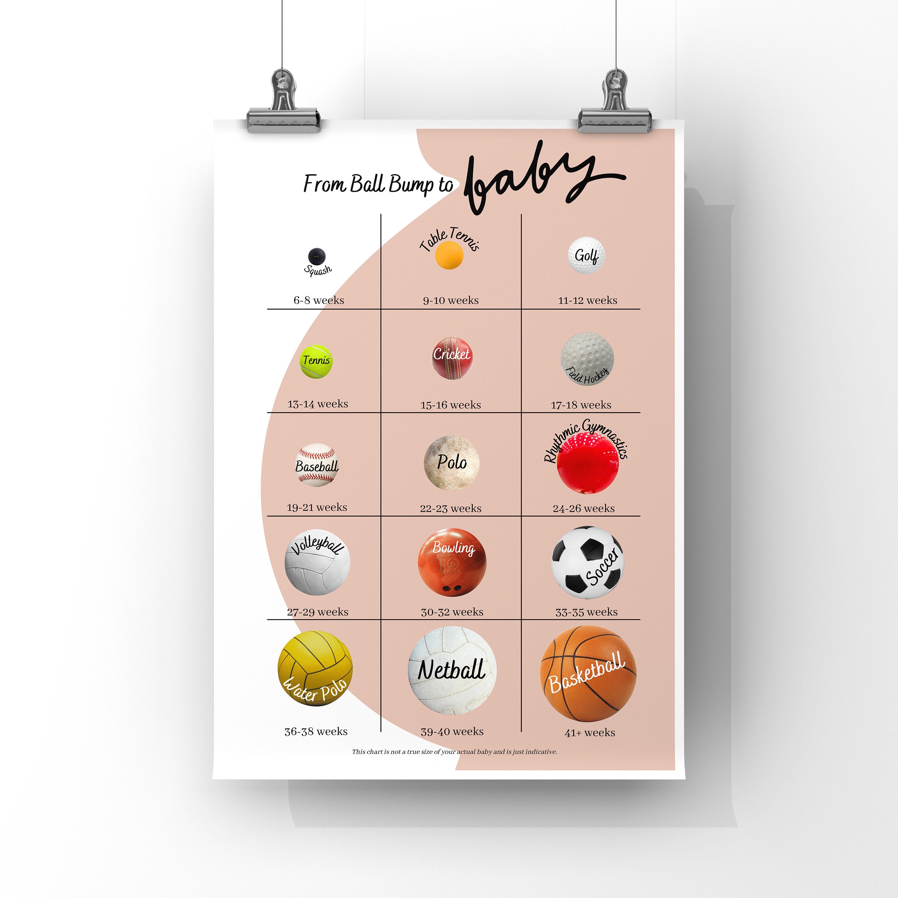 How Big is Baby Bump, Week by Week Baby Size Balls Poster, Pregnancy ...