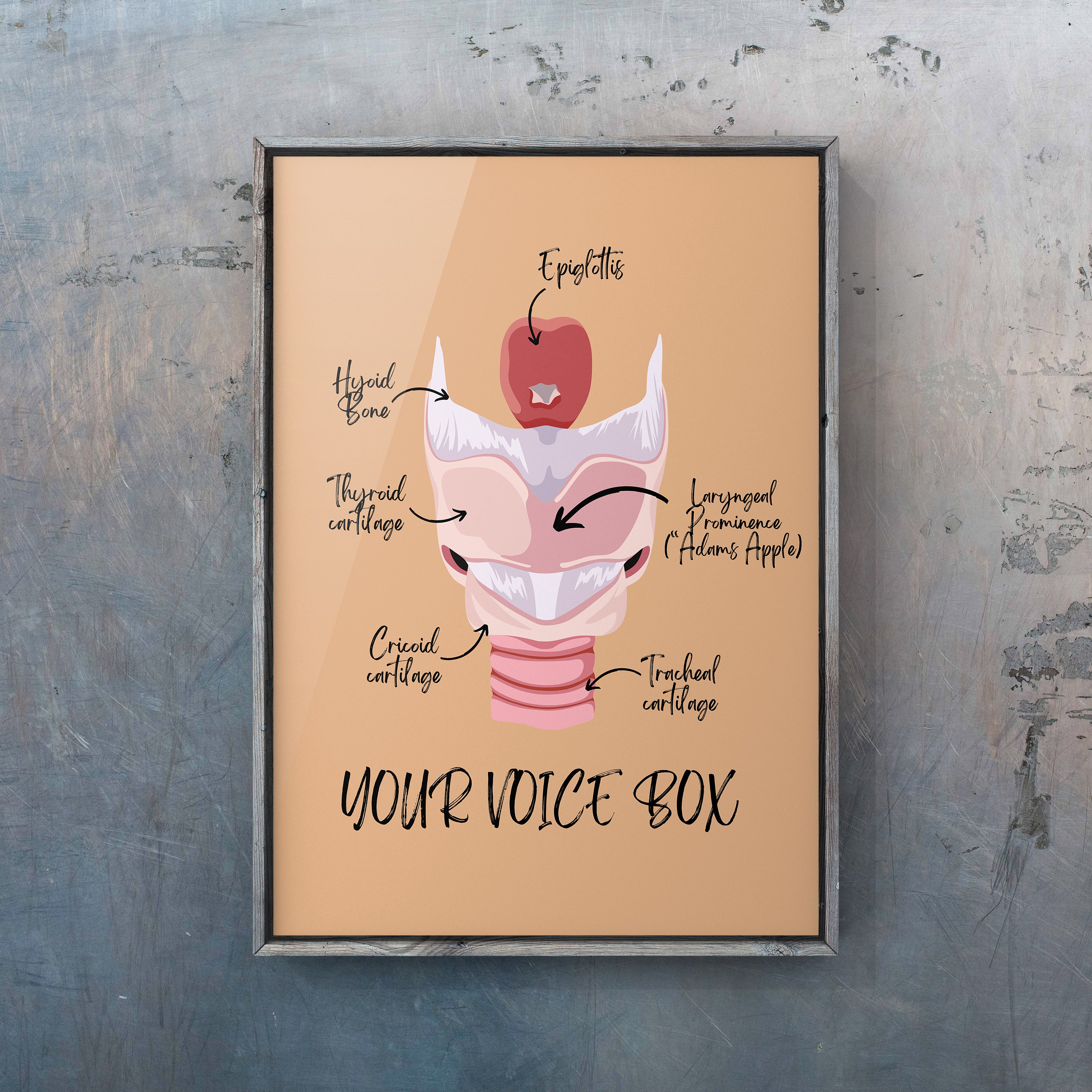 Speech Therapy Poster Larynx Anatomy For Language Larynx Etsy