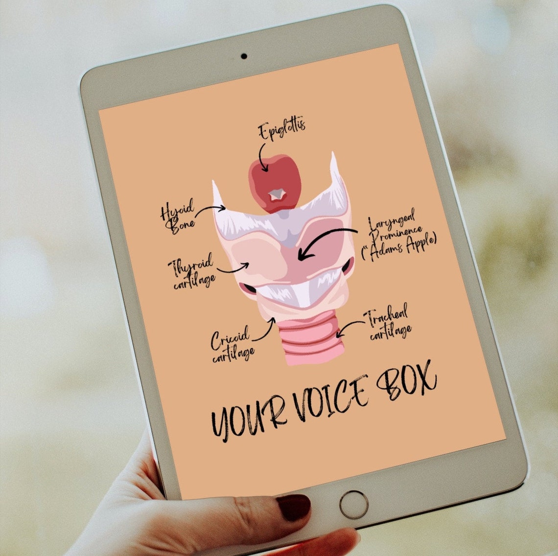 Speech Therapy Poster Larynx Anatomy For Language Larynx Etsy