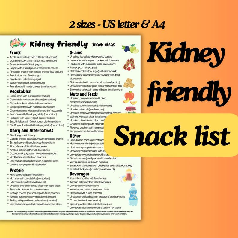Kidney Friendly Snack List: Food Guide Chart (printable PDF) - Etsy