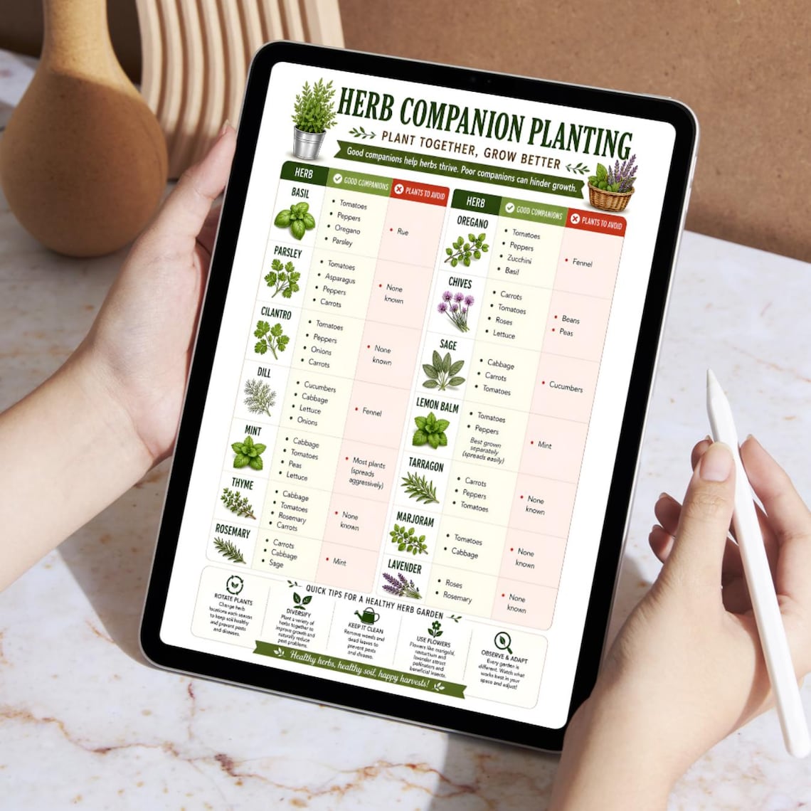 Companion Planting Chart Printable, What to Plant Together Guide, Herb ...