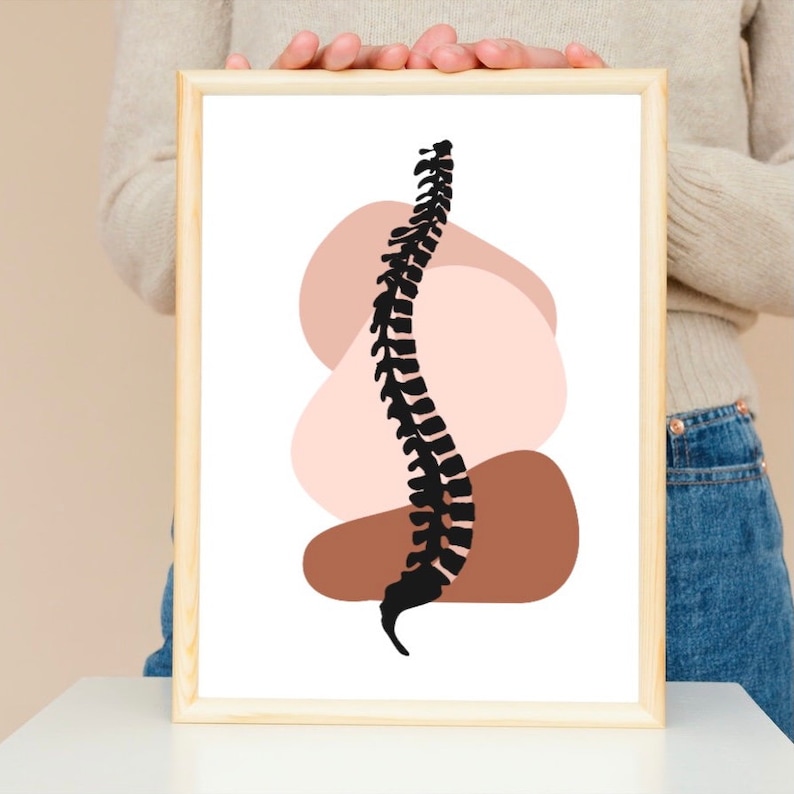 Spine Poster Orthopaedic Wall Art Chiropractor Gift Anatomy - Etsy