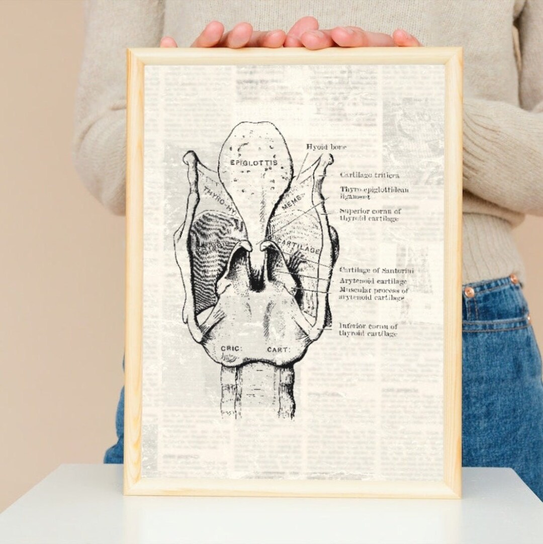 Speech Therapy Poster, Larynx Anatomy for Language, Larynx Wall Art ...