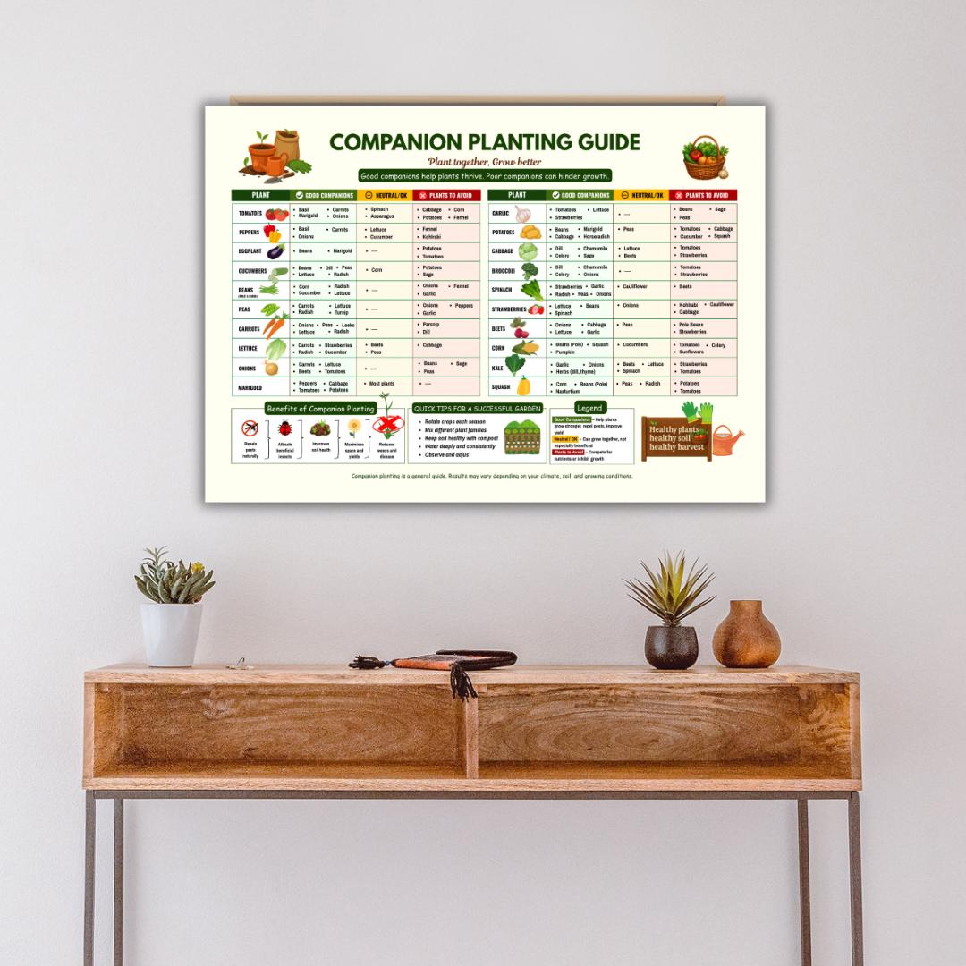 Vegetable Companion Planting Chart, Garden Planner (PDF Download) - Etsy