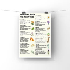 Medicinal Herb Guide: Reference Chart Print (digital Download) - Etsy