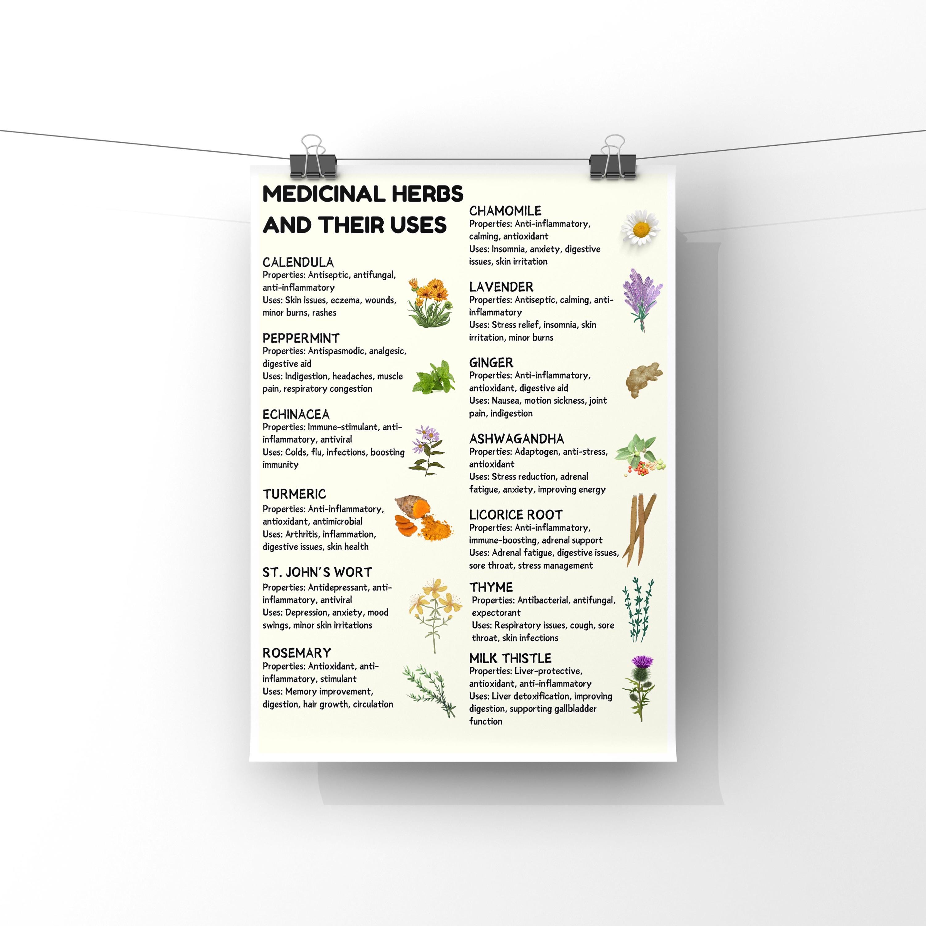 Medicinal Herb Guide: Reference Chart Print (digital Download) - Etsy
