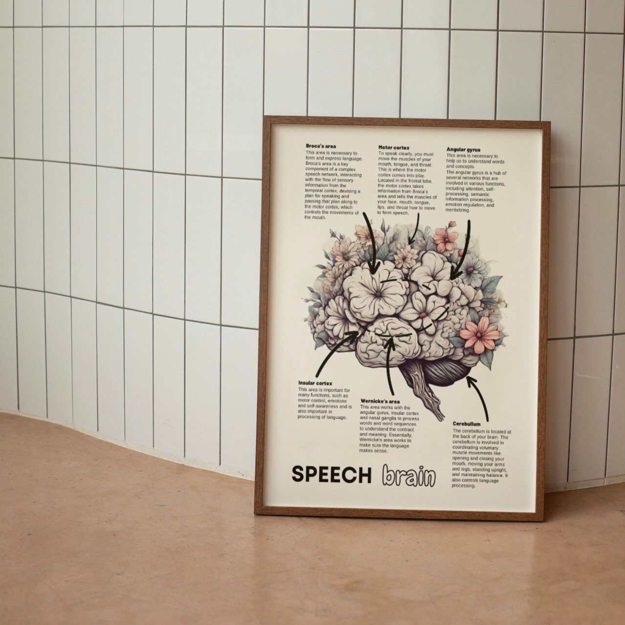 Floral Brain Anatomy Poster: Speech Therapy Office Decor (digital Files ...