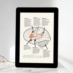 Speech Therapy Poster, Brain Anatomy for Language, Brain Wall Art ...