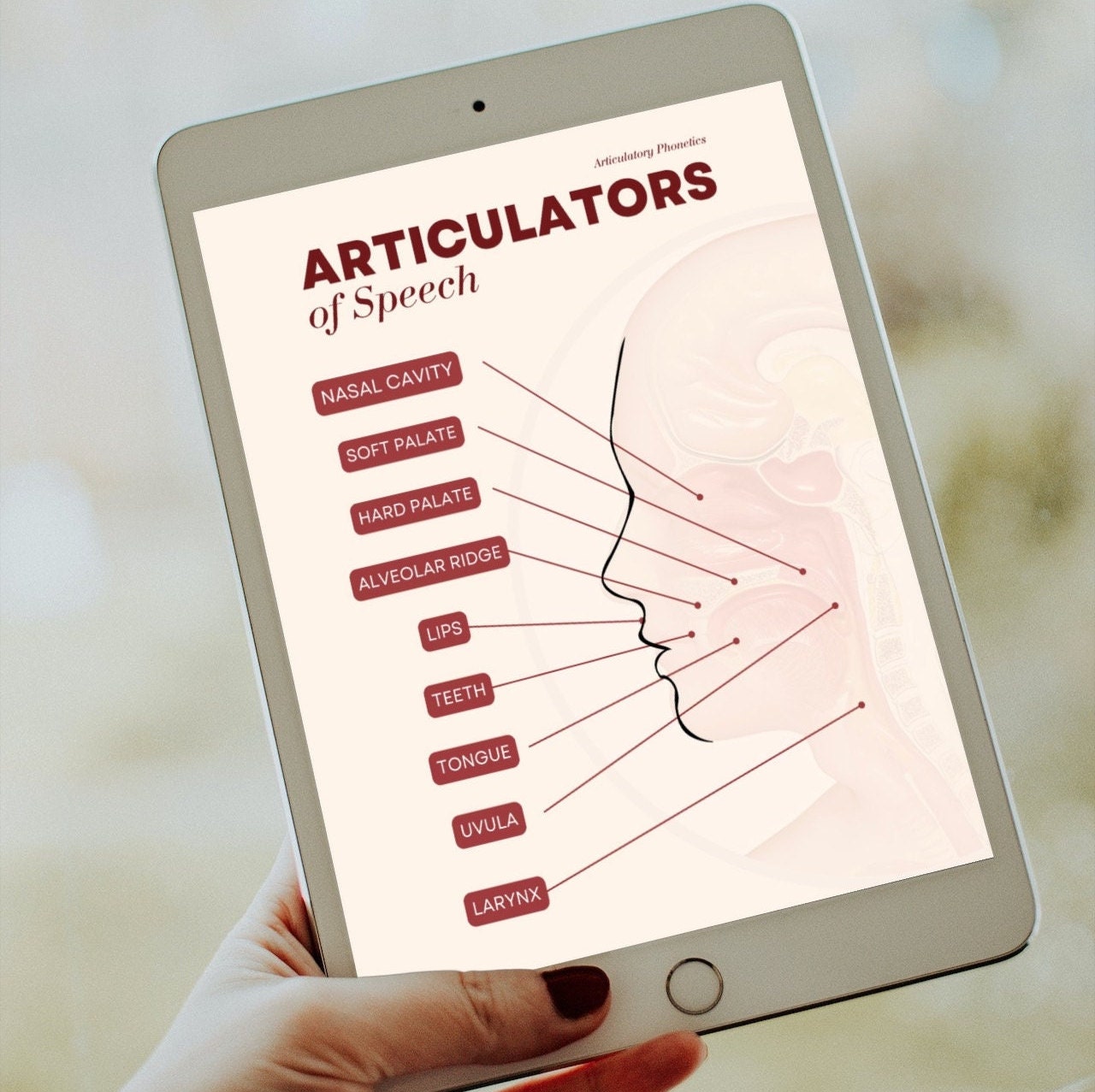 Speech Therapy Poster Brain Anatomy for Language Brain Wall - Etsy