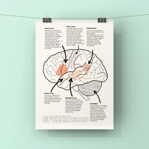 Speech Therapy Poster, Brain Anatomy for Language, Brain Wall Art ...