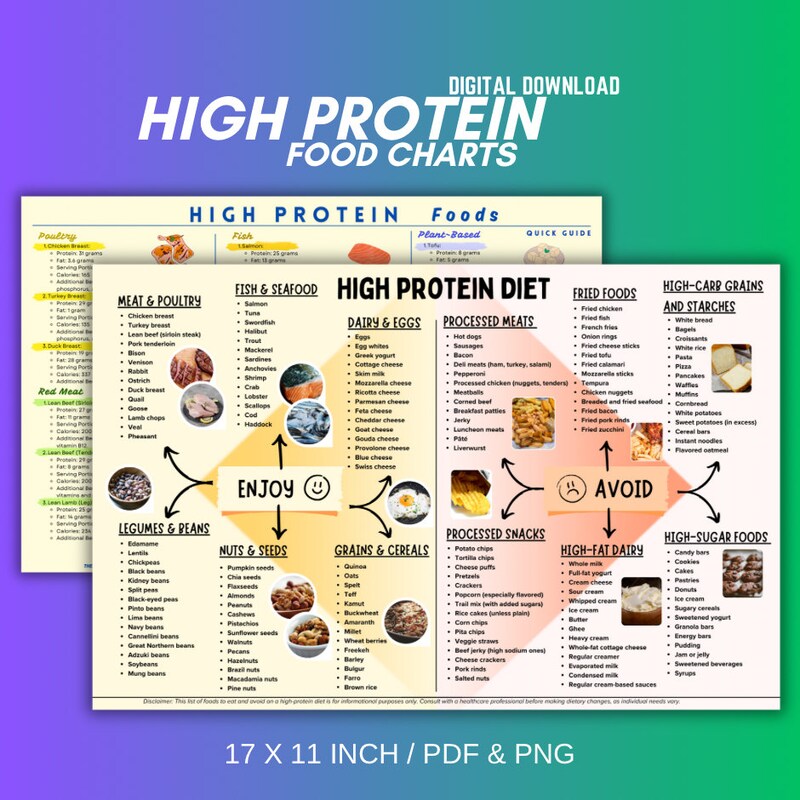 High Protein Food Chart - Etsy