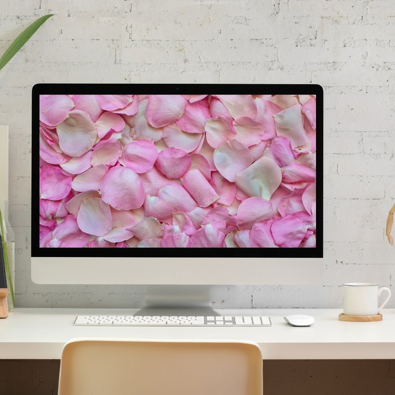 Zoom Background Roses Backdrop Virtual Background Image - Etsy