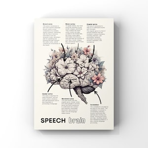 Speech Therapy Poster, Brain Anatomy for Language, Brain Wall Art ...