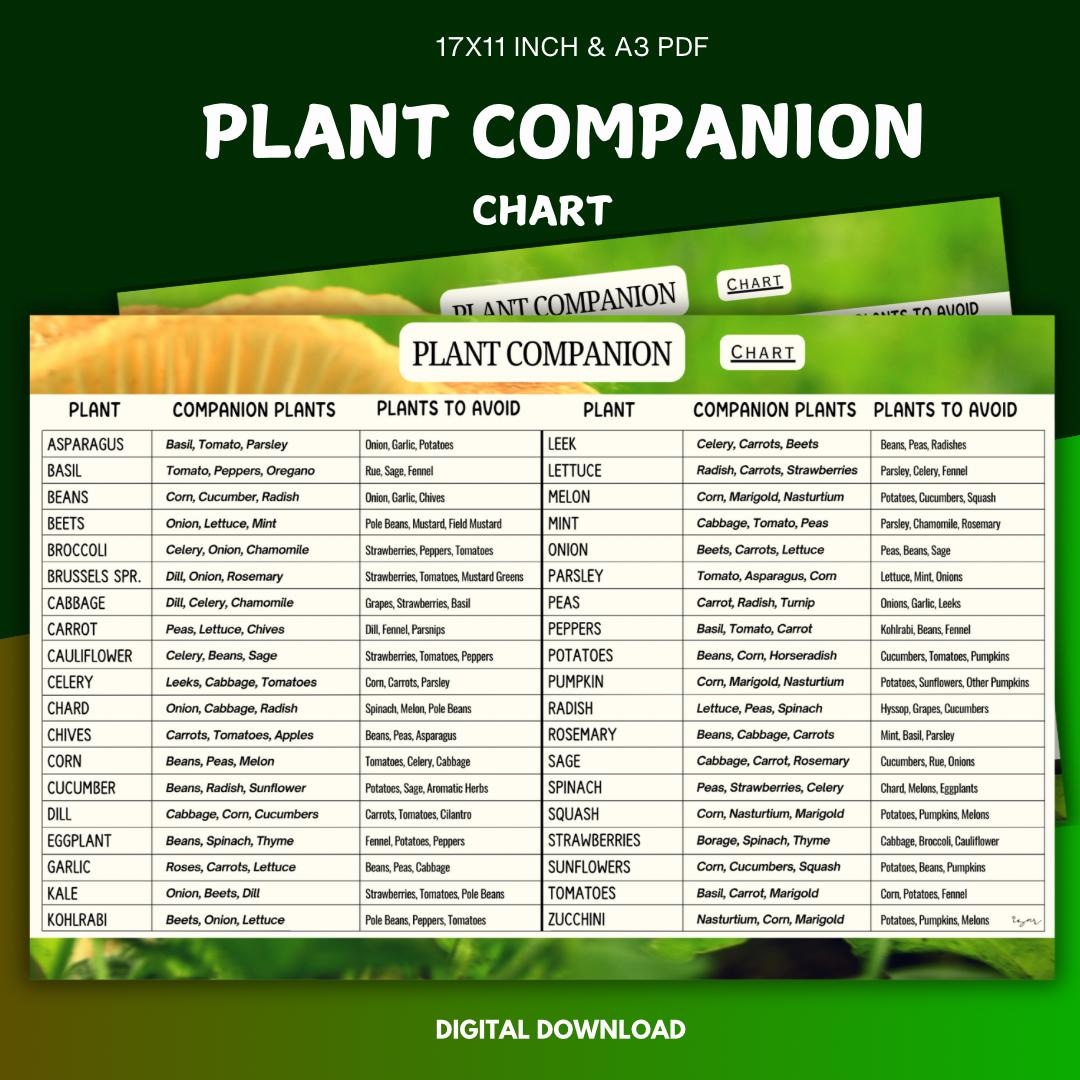 Companion Planting Chart: Vegetable Garden Planner (printable PDF Guide ...
