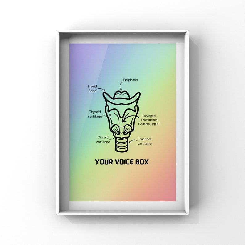 Speech Therapy Poster, Larynx Anatomy for Language, Larynx Wall Art ...