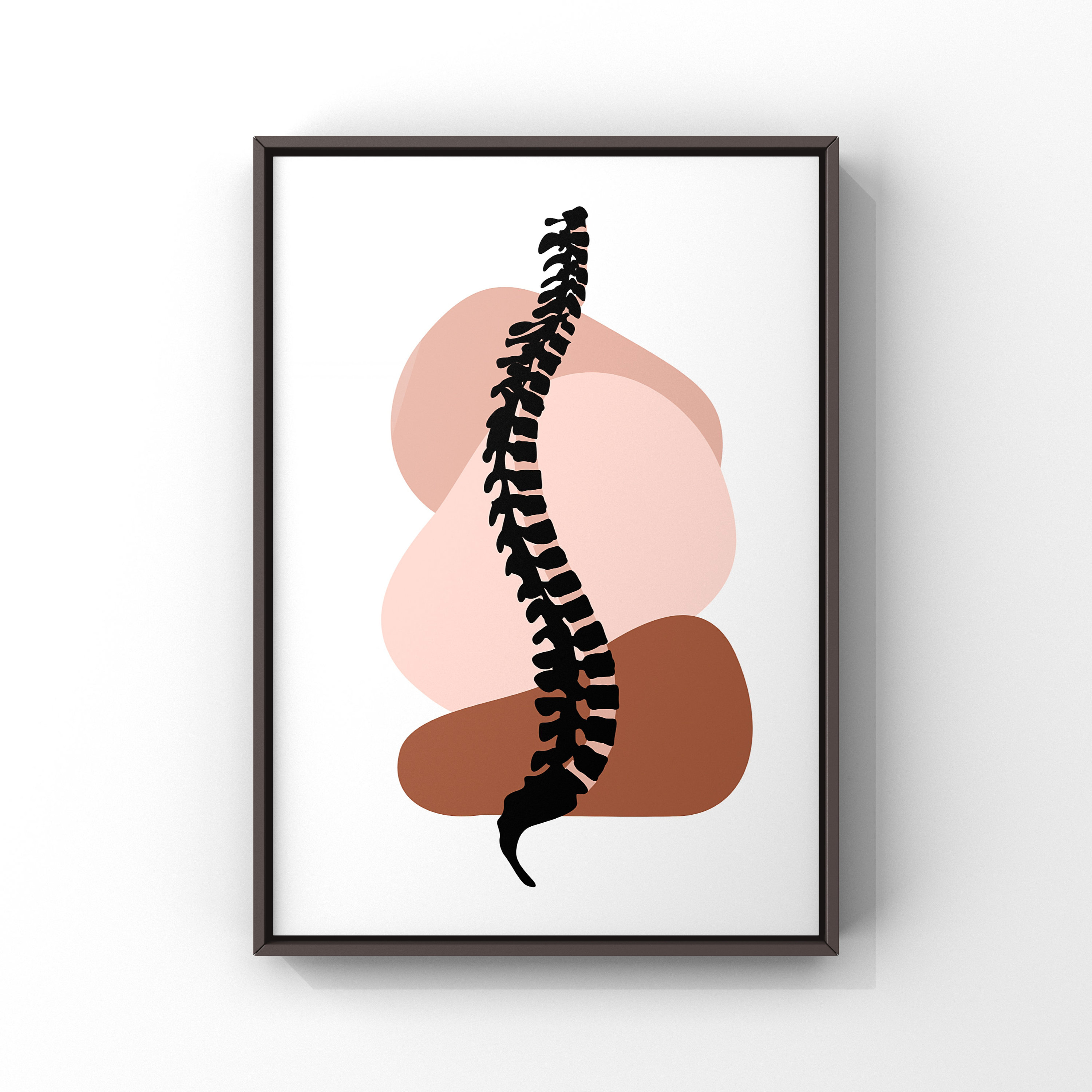 Spine Poster Orthopaedic Wall Art Chiropractor Gift Anatomy - Etsy