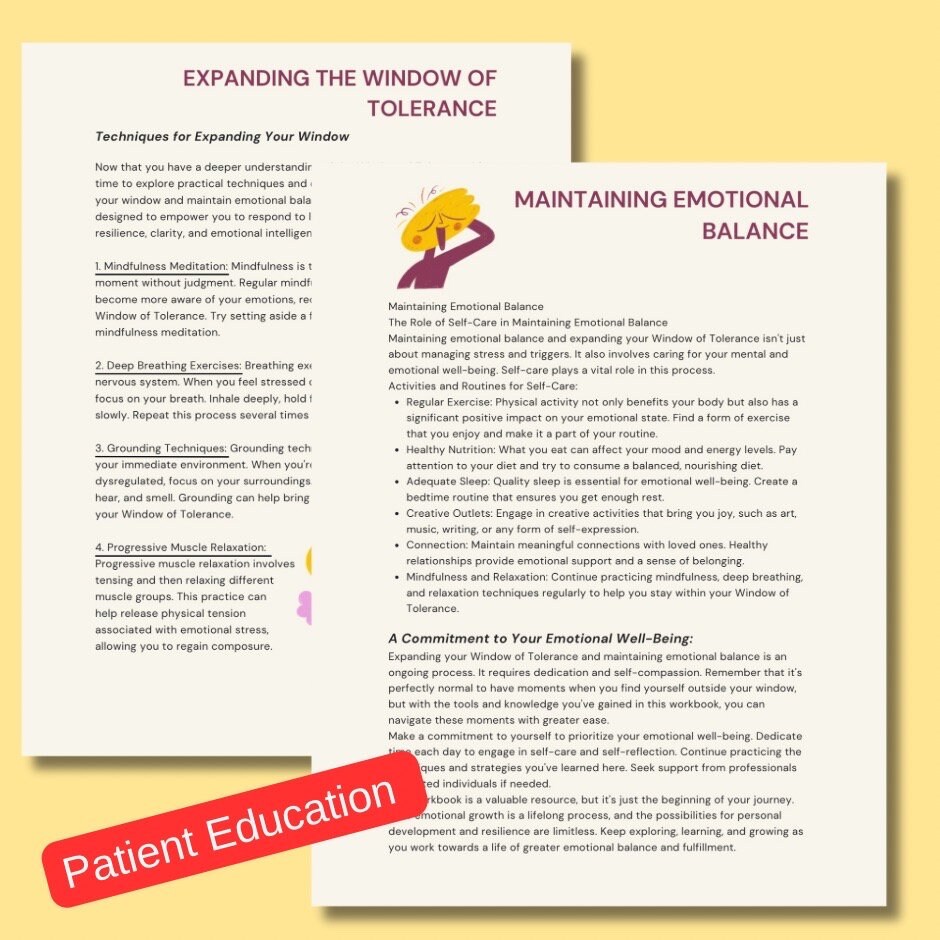 Window of Tolerance Workbook Distress Tolerance School - Etsy