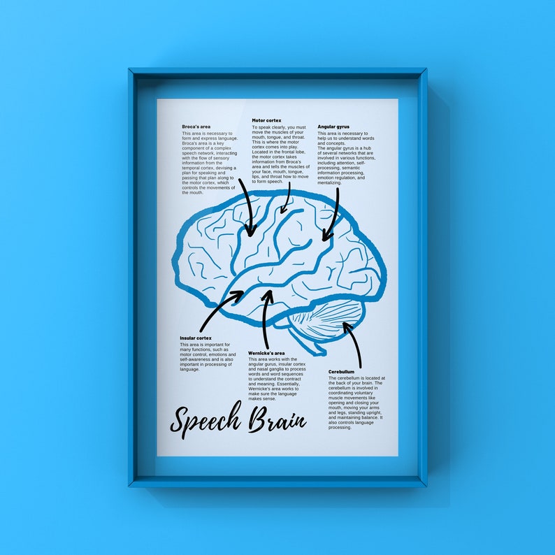 Brain Art Original, Brain Anatomy for Language, Brain Wall Art Speech ...