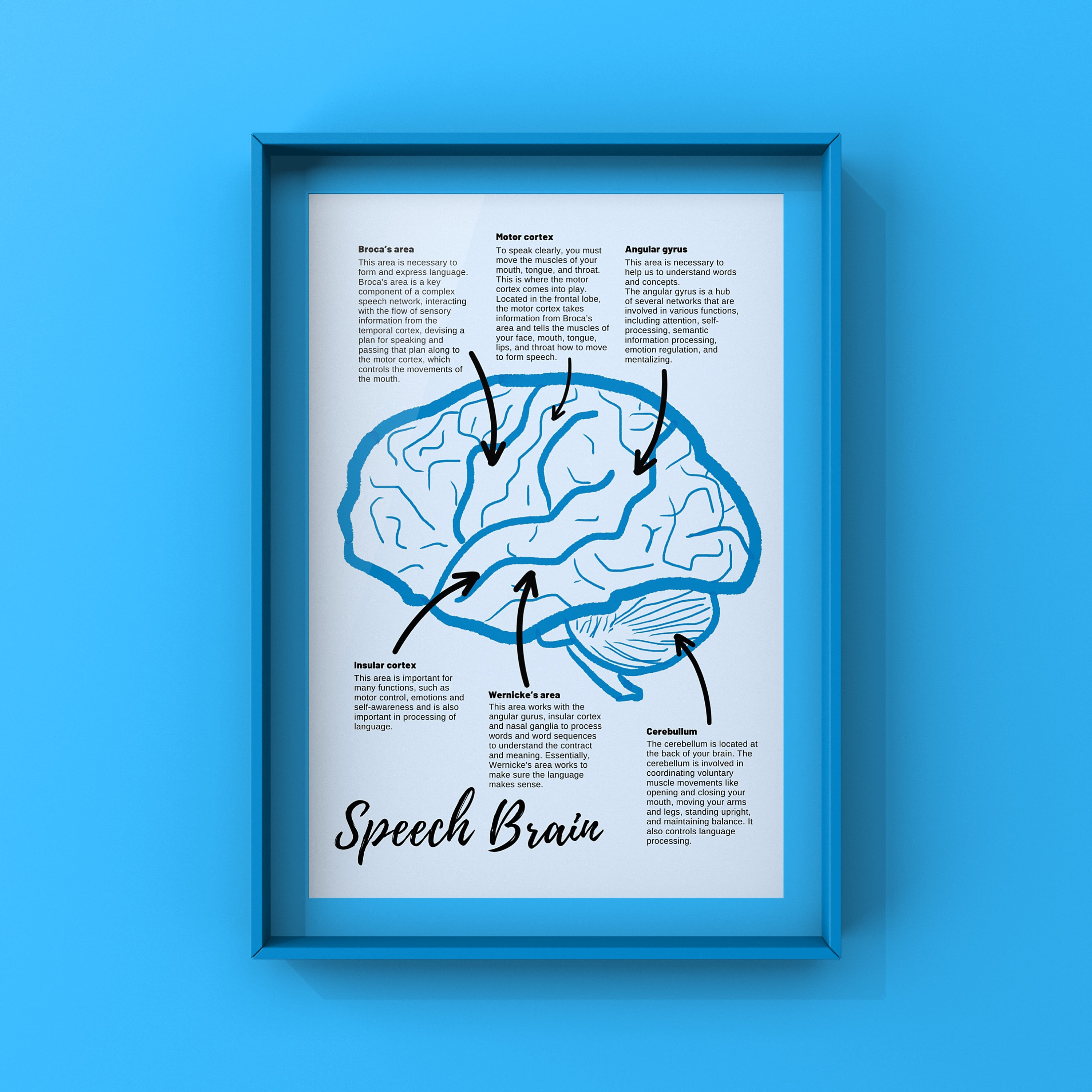 Brain Art Original, Brain Anatomy for Language, Brain Wall Art Speech ...