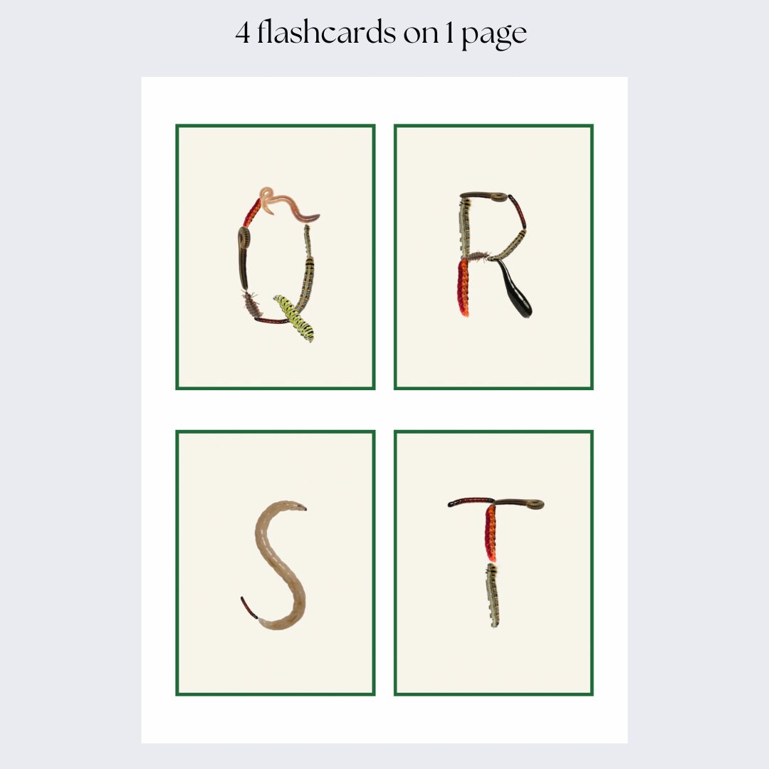 Phonetic Nature Alphabet Cards, Insect Bug Alphabet Poster, Minibeast ...