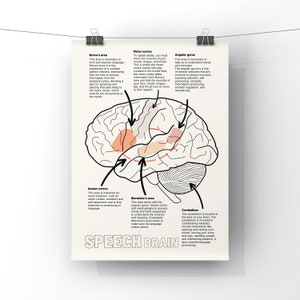 Speech Therapy Poster, Brain Anatomy for Language, Brain Wall Art ...