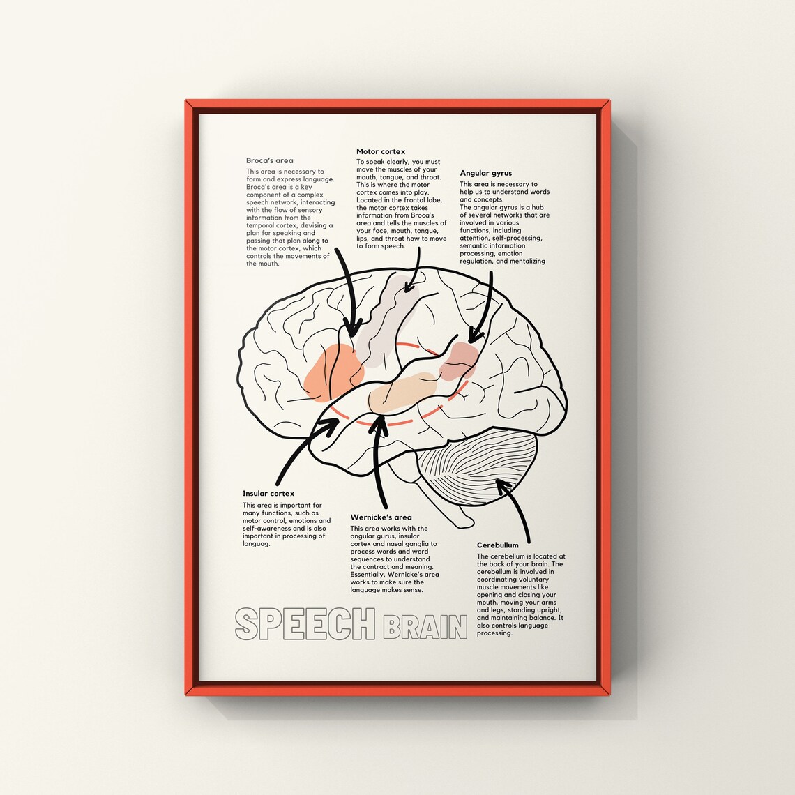 Speech Therapy Poster Brain Anatomy for Language Brain Wall - Etsy
