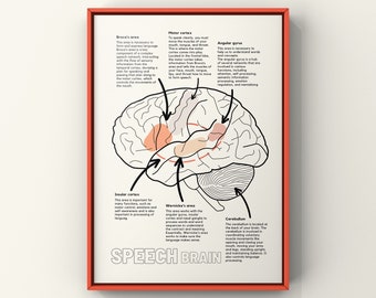 10 Speech Language Pathologist Poster Decor Therapy Wall Art - Etsy