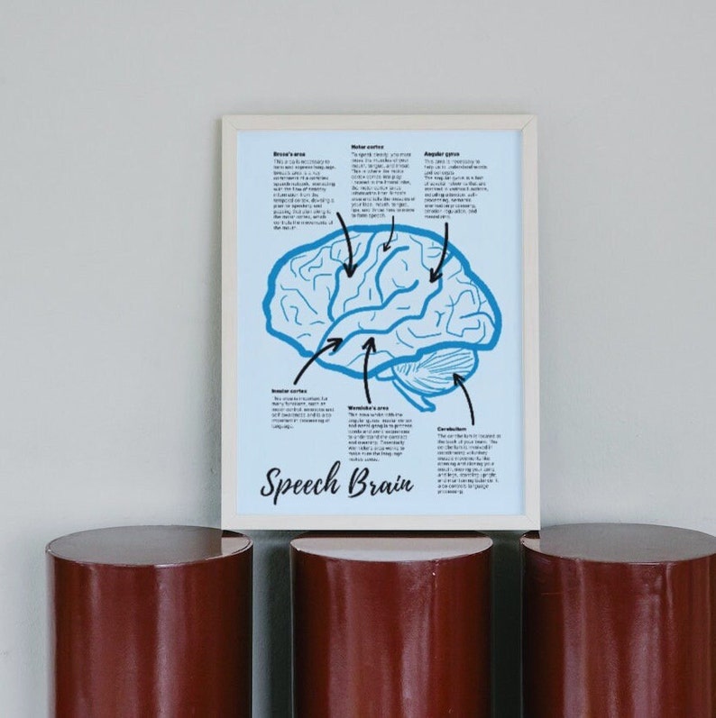 Brain Art Original, Brain Anatomy for Language, Brain Wall Art Speech ...