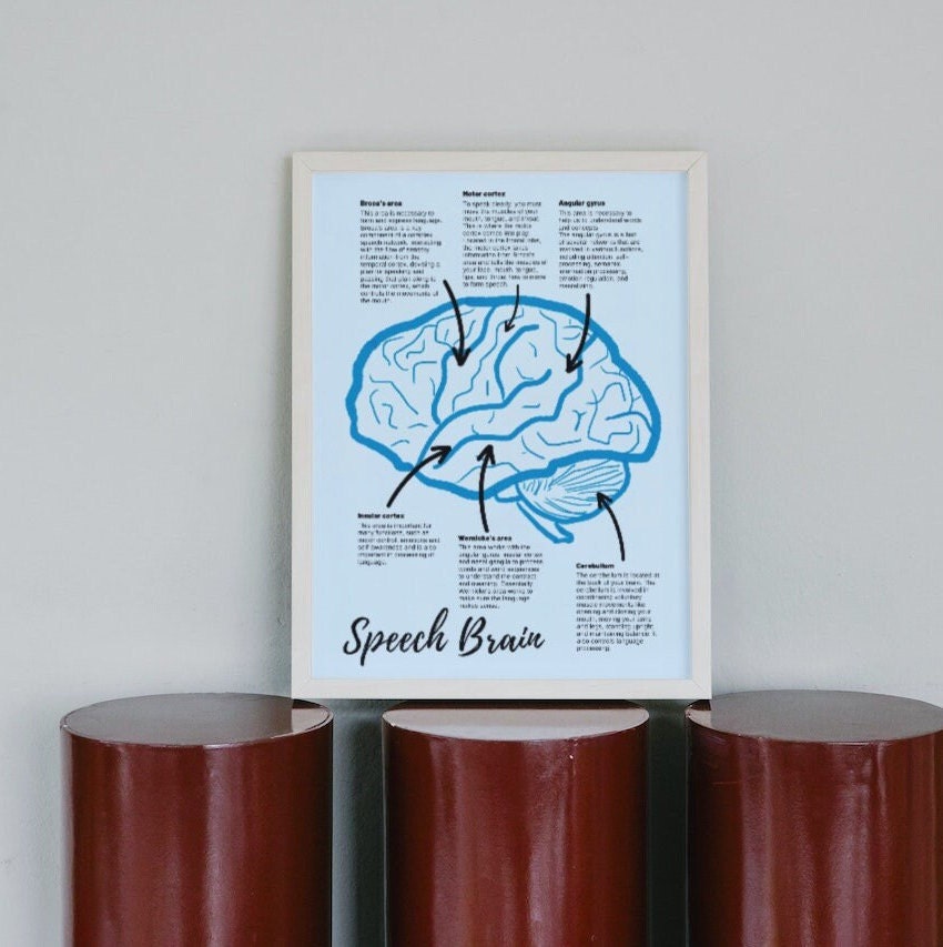 Brain Art Original, Brain Anatomy for Language, Brain Wall Art Speech ...