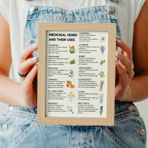 Medicinal Herb Guide: Reference Chart Print (digital Download) - Etsy