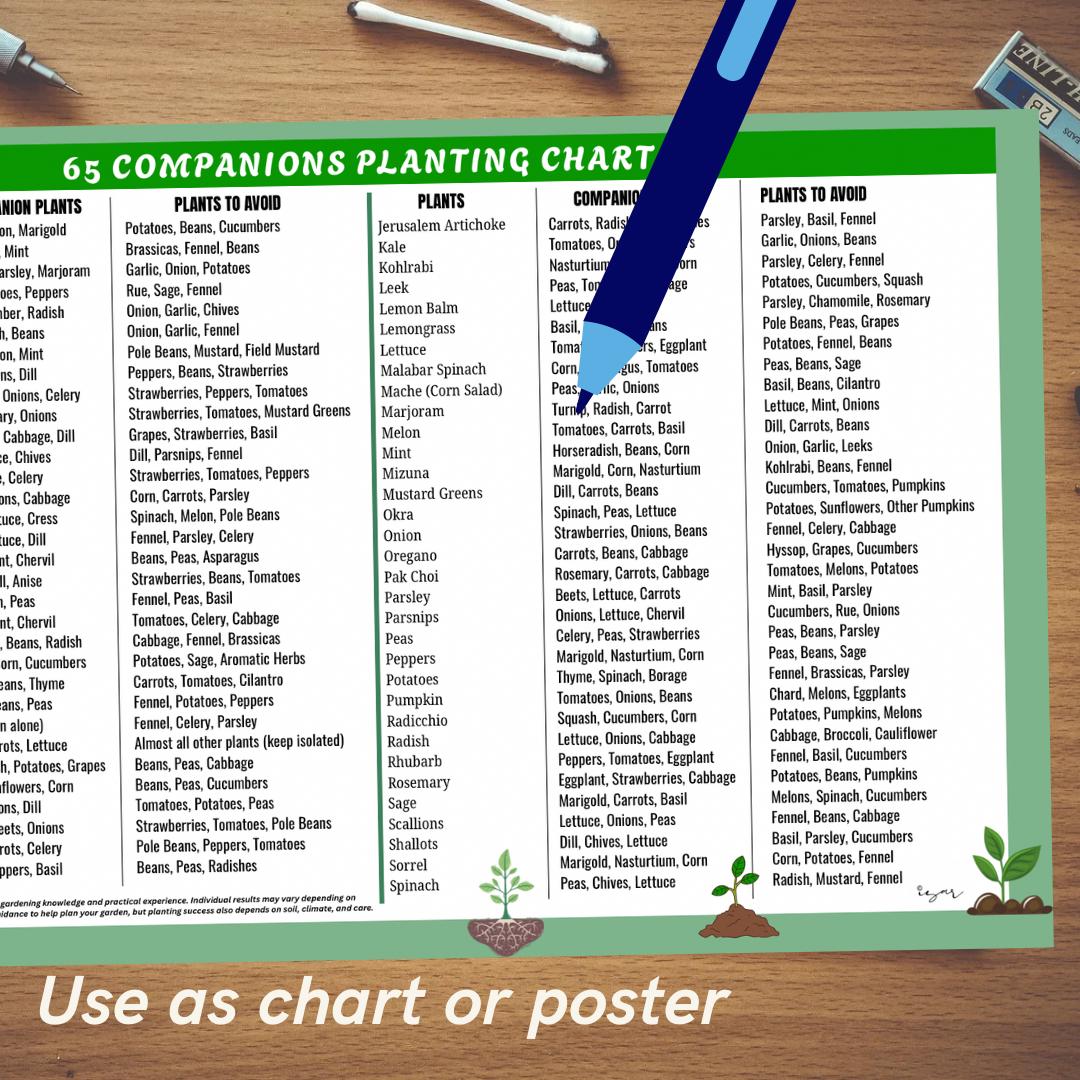 Companion Planting Chart: 65 Plants, Garden Planner (printable PDF) - Etsy