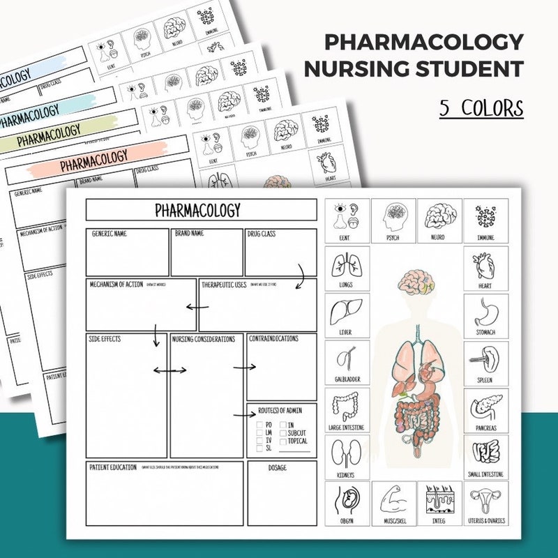 Pharmacology Chart Template - Etsy