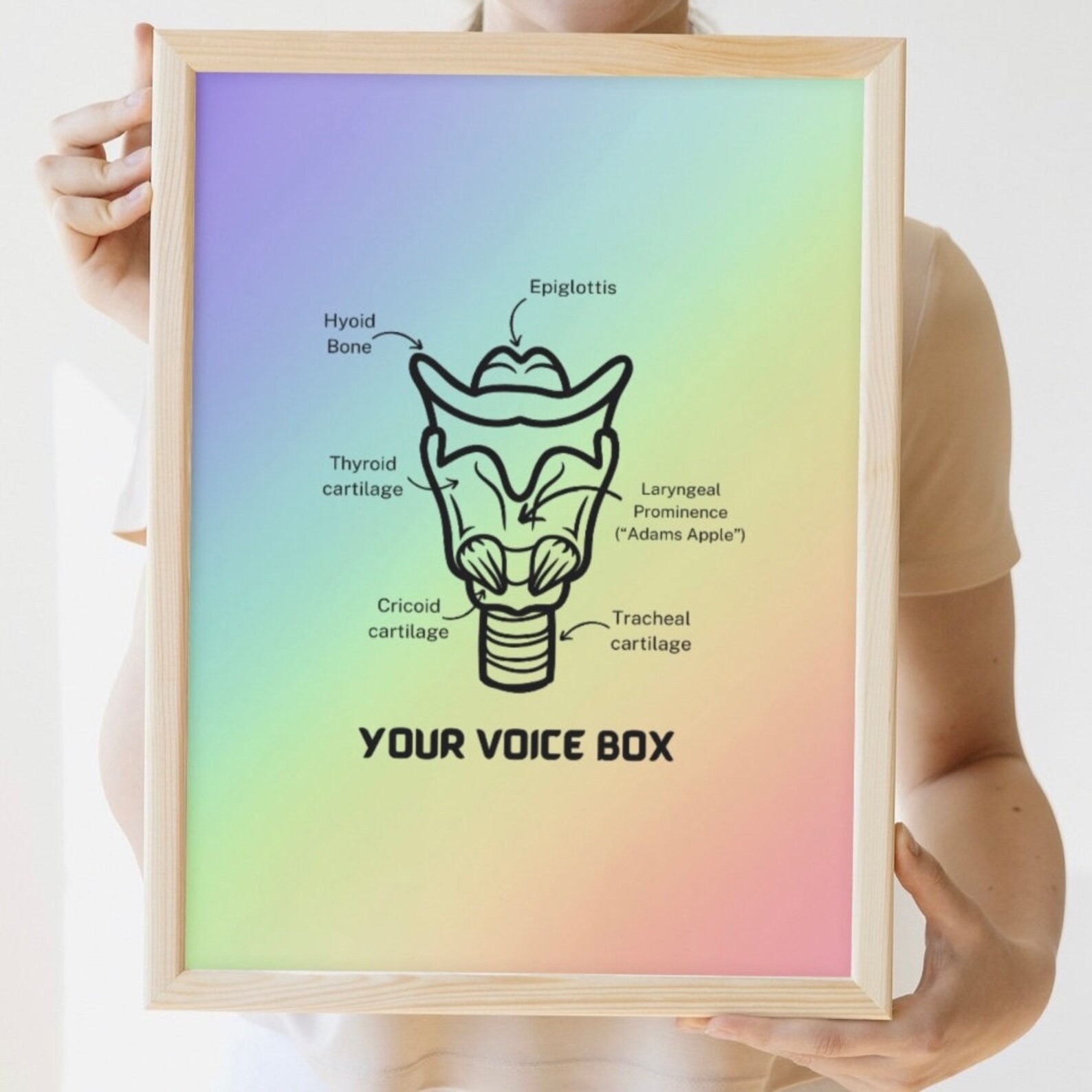 Speech Therapy Poster, Larynx Anatomy for Language, Larynx Wall Art ...