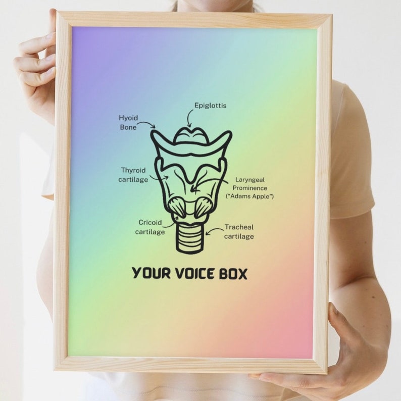 Speech Therapy Poster, Larynx Anatomy for Language, Larynx Wall Art ...
