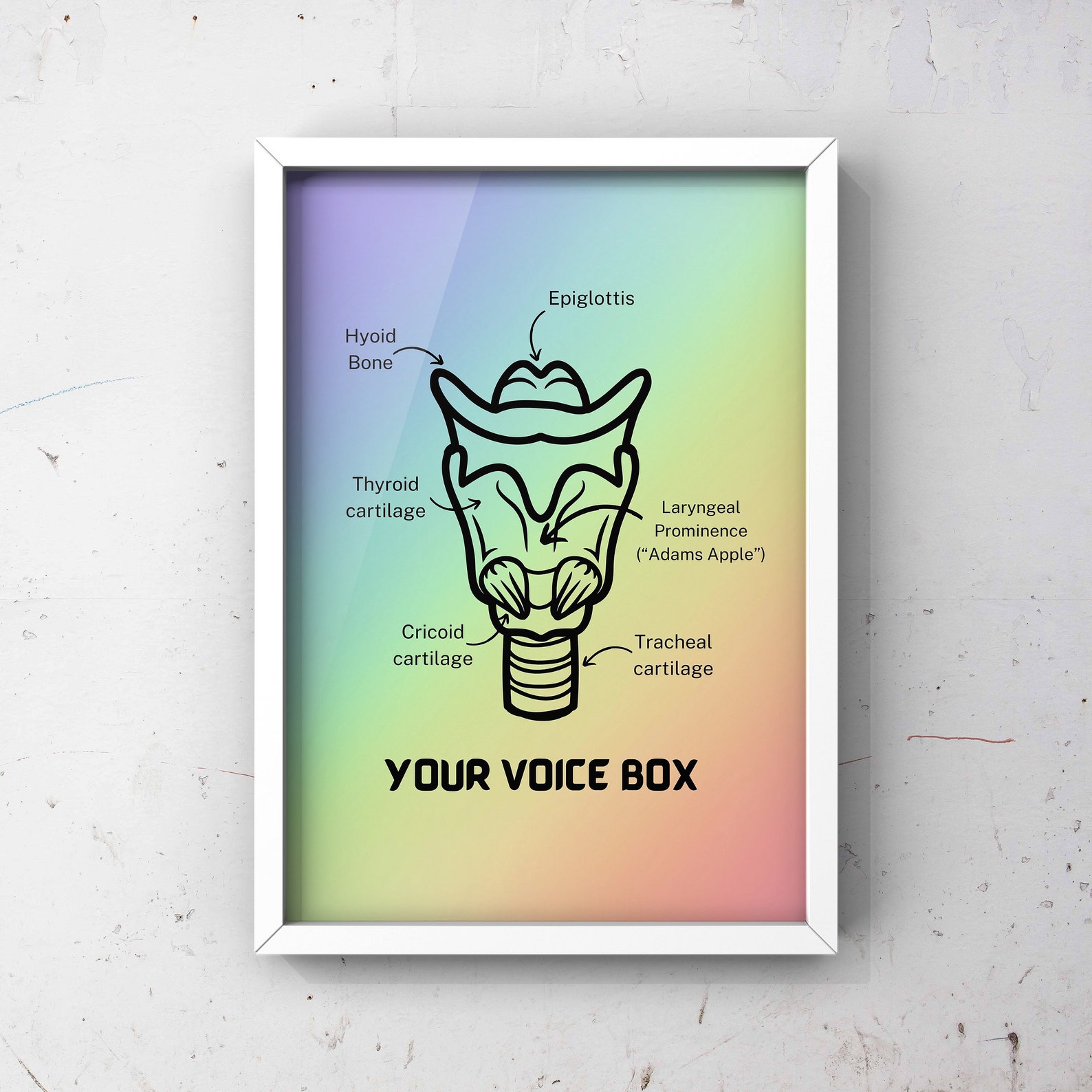 Speech Therapy Poster, Larynx Anatomy for Language, Larynx Wall Art ...