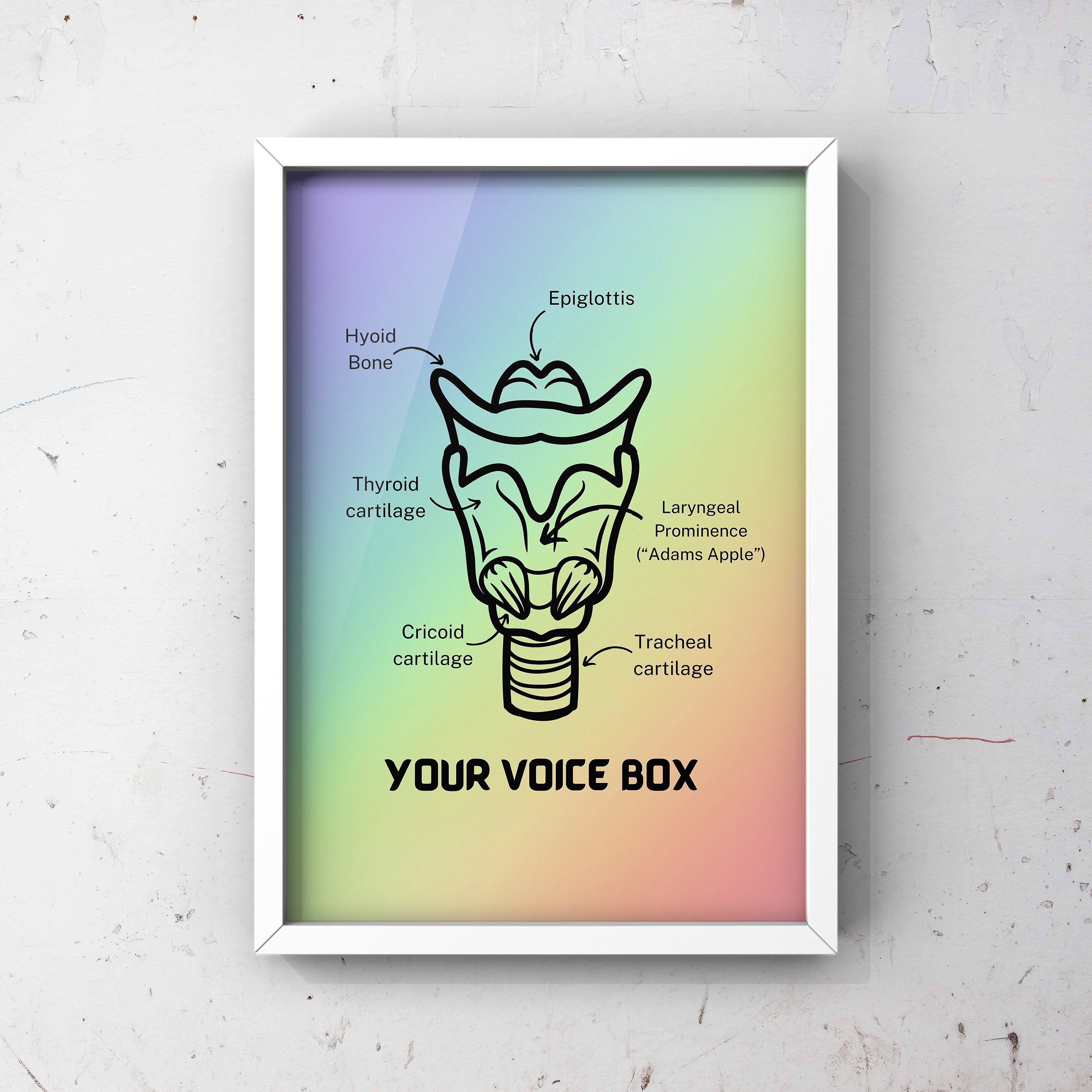 Speech Therapy Poster, Larynx Anatomy for Language, Larynx Wall Art ...