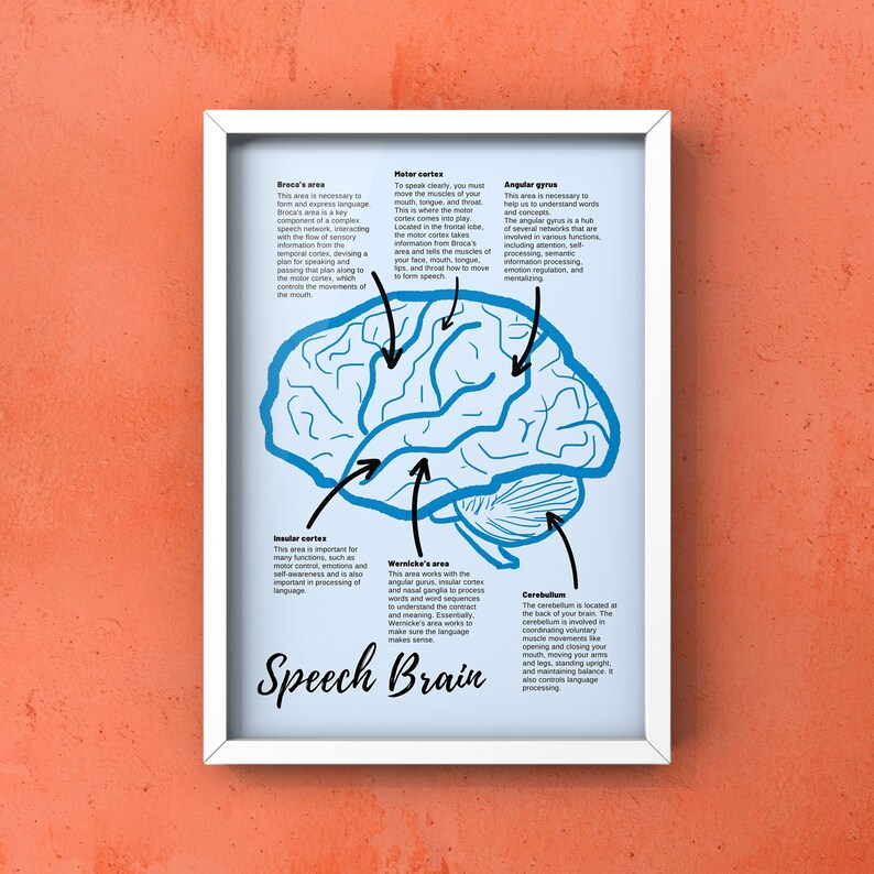 Brain Art Original, Brain Anatomy for Language, Brain Wall Art Speech ...