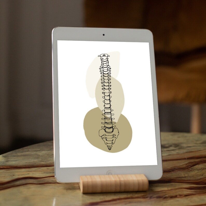 Spine Poster Orthopaedic Wall Art Chiropractor Gift Anatomy | Etsy