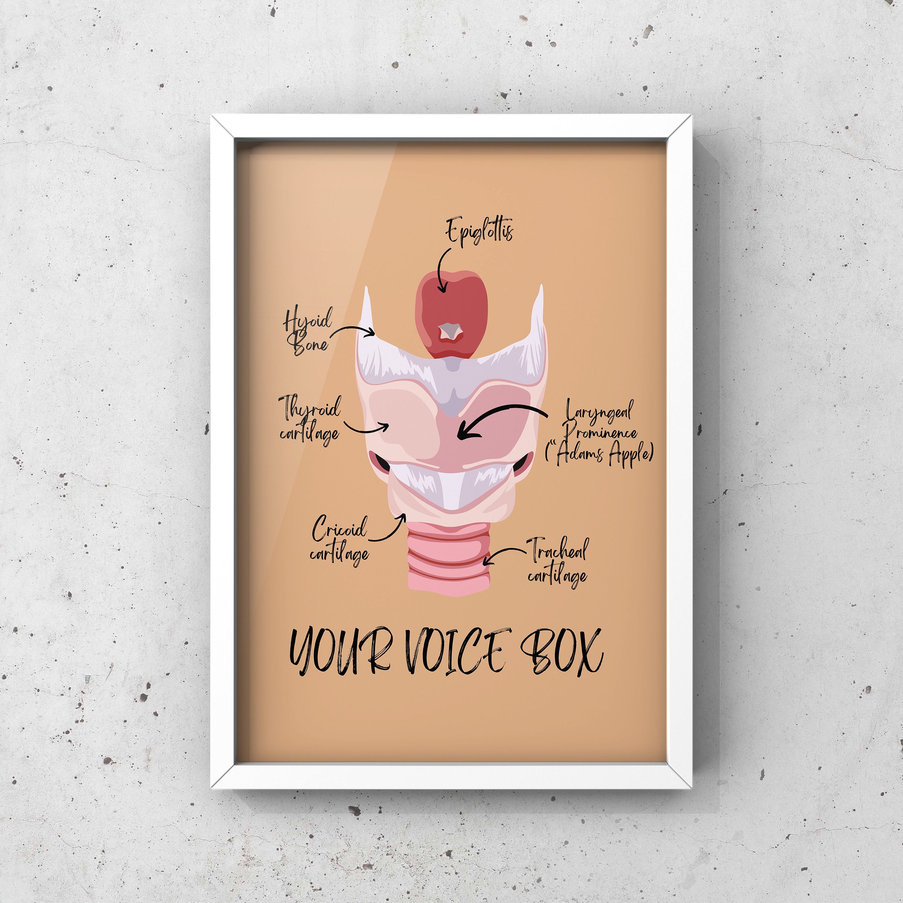 Speech Therapy Poster Larynx Anatomy For Language Larynx Etsy